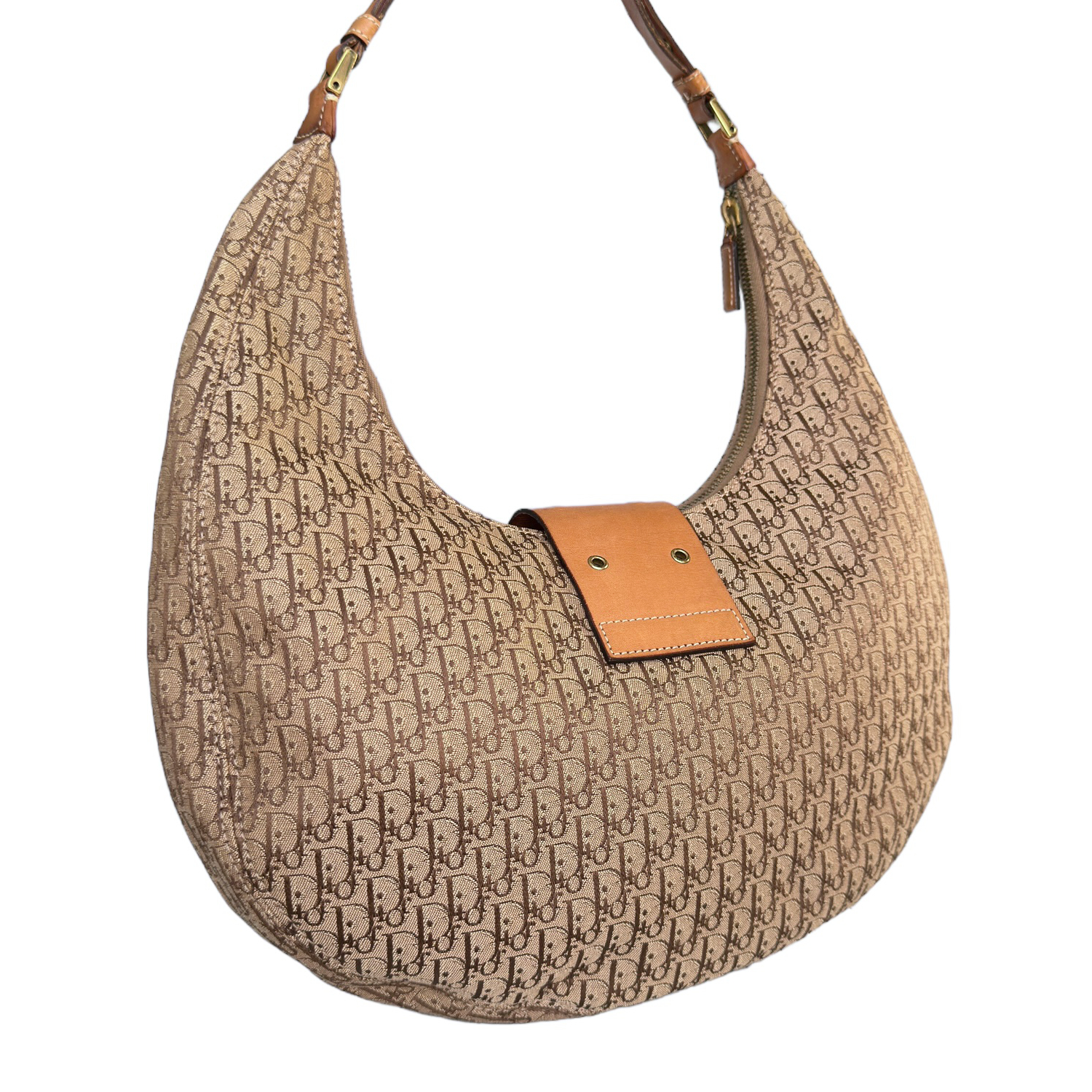 Dior Monogram Street Chic Half Moon Hobo Shoulder Bag in Beige / Tan ...