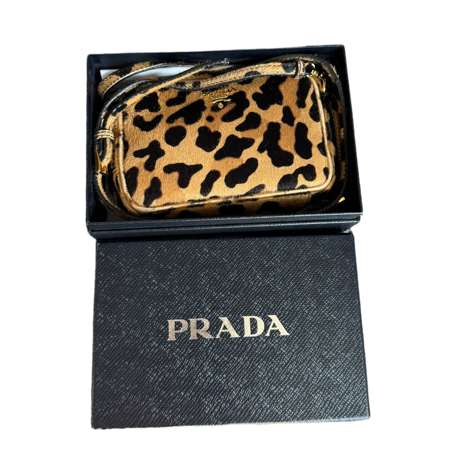 Prada Leopard Print Calfskin Mini Crossbody Bag in Brown / Gold – Nitryl